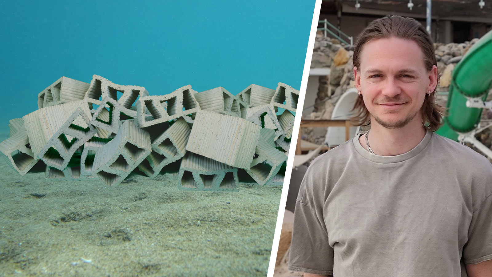 Oyster Heaven wil 5 miljoen oesters uitzetten om zeewater te filteren